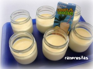 Yogures de leche merengada - Recetariocanecositas